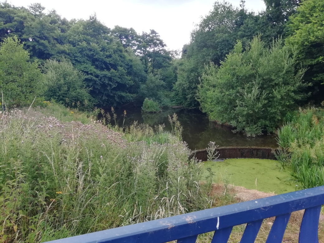 Sedgley Hall Farm Park | Dudley CI