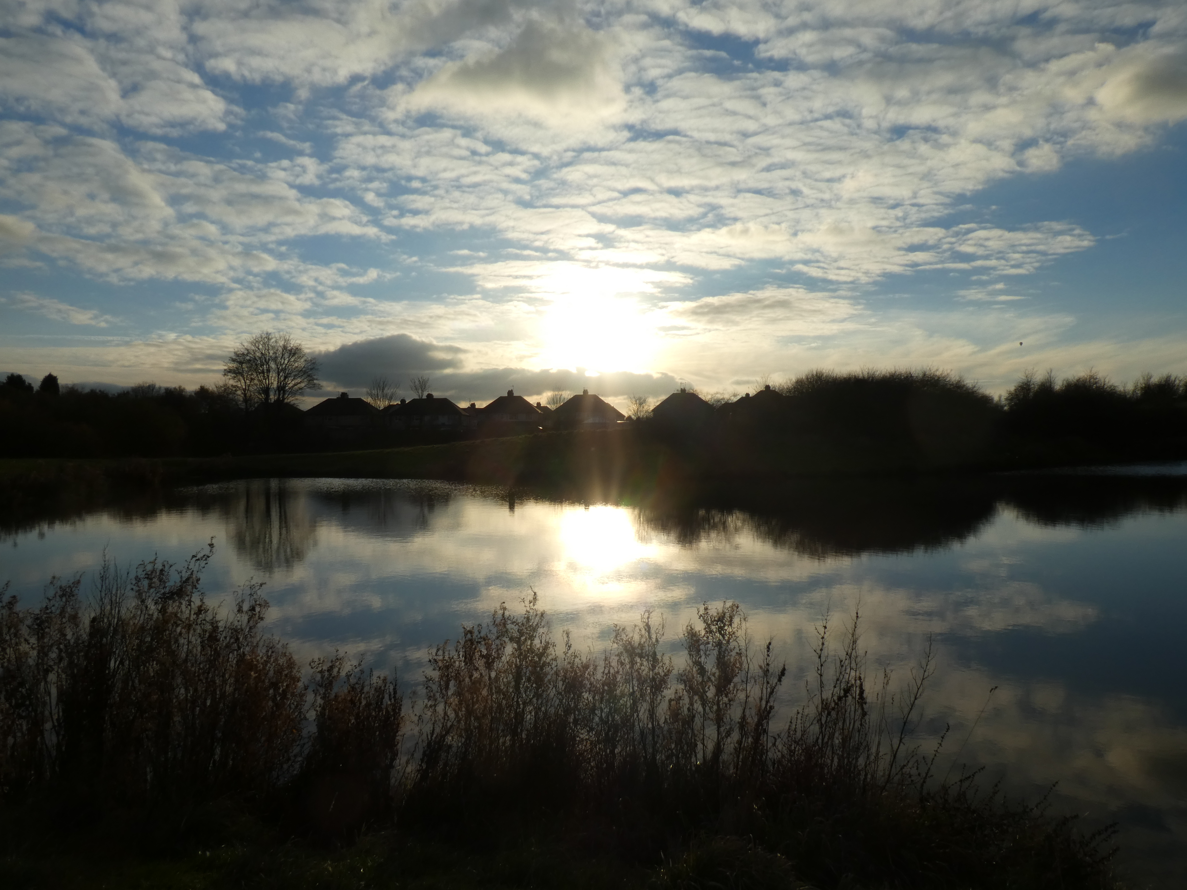Fens Pools and Buckpool Local Nature Reserve | Dudley CI